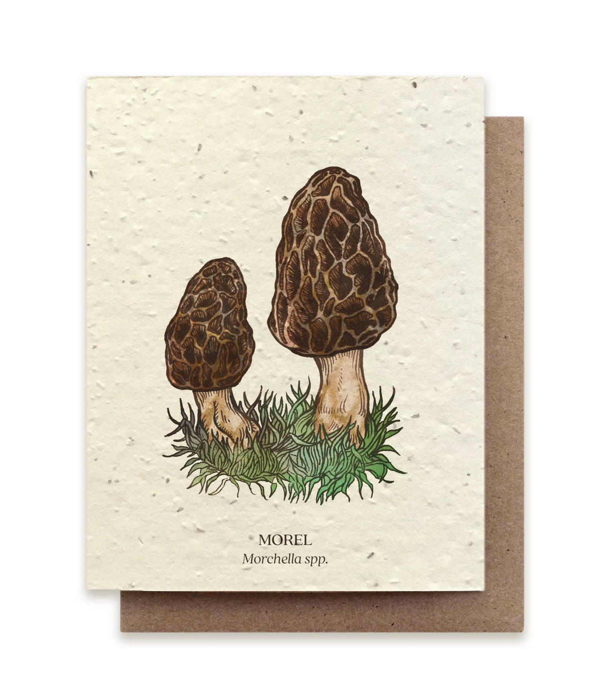 Morel Mushroom Plantable Wildflower Seed Card | Bloom Floral