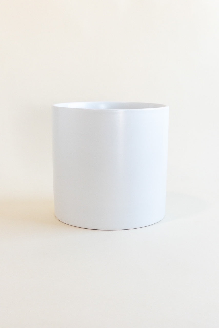 Cercle Pot | Bloom Floral